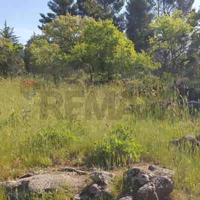 Terreno in Vendita Biancavilla 30721250-208 | RE/MAX Italia